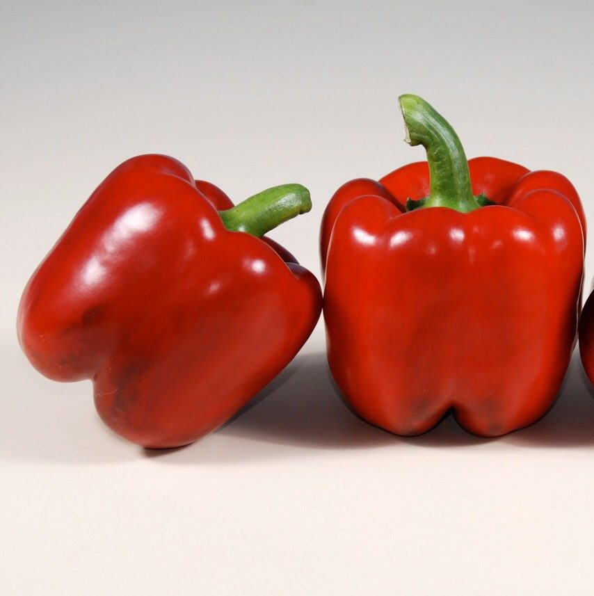 Portafolio de Pimentones y Pimientos - Tecnologia Agricola Sartenejas